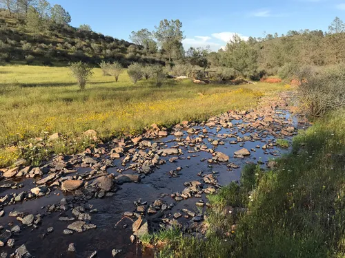 Best Hikes and Trails in Red Hills Recreation Management Area | AllTrails