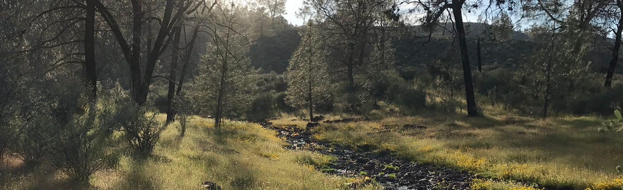Old Stage and Soaproot Ridge Loop (Long Option): 76 Reviews, Map ...