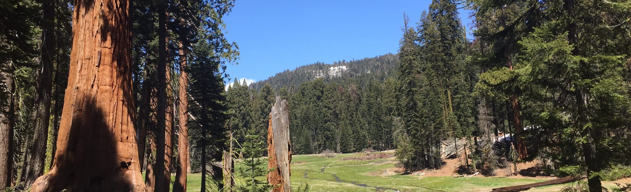 High Sierra, Tharp's Log, and Crescent Meadow Loop: 505 Reviews, Map ...