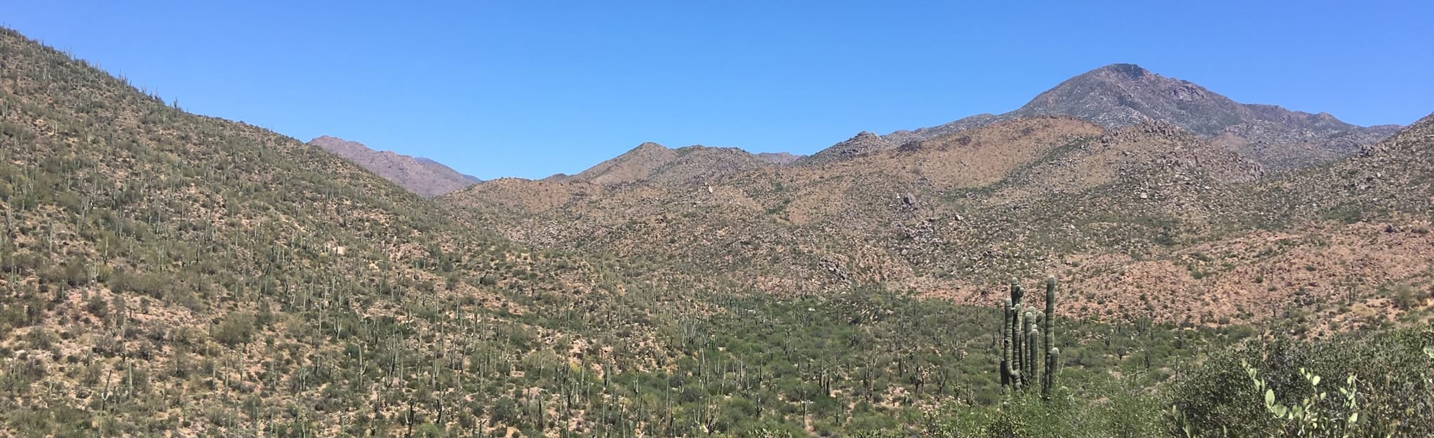 Pine Creek Loop and Ballantine Trail, Arizona - 309 Reviews, Map ...