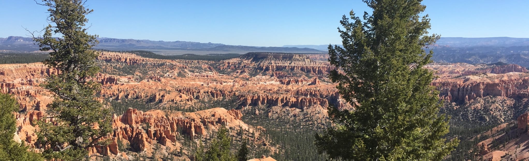 Bryce Point Trail, Utah - 779 Reviews, Map | AllTrails