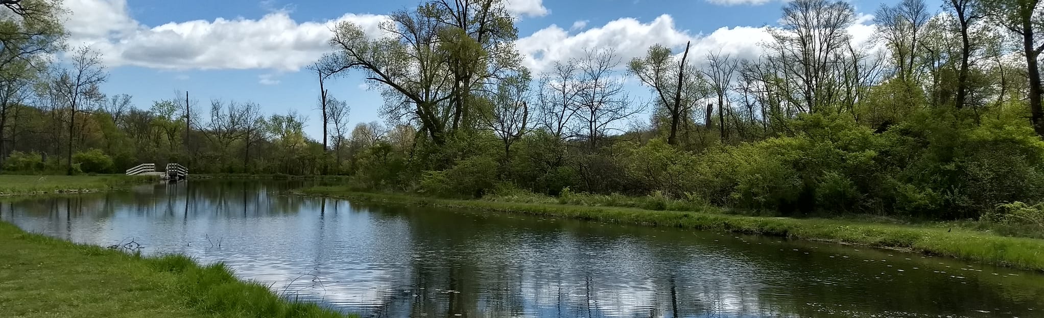 Fel-Pro-RRR Conservation Area Loop: 353 Reviews, Map - Illinois | AllTrails