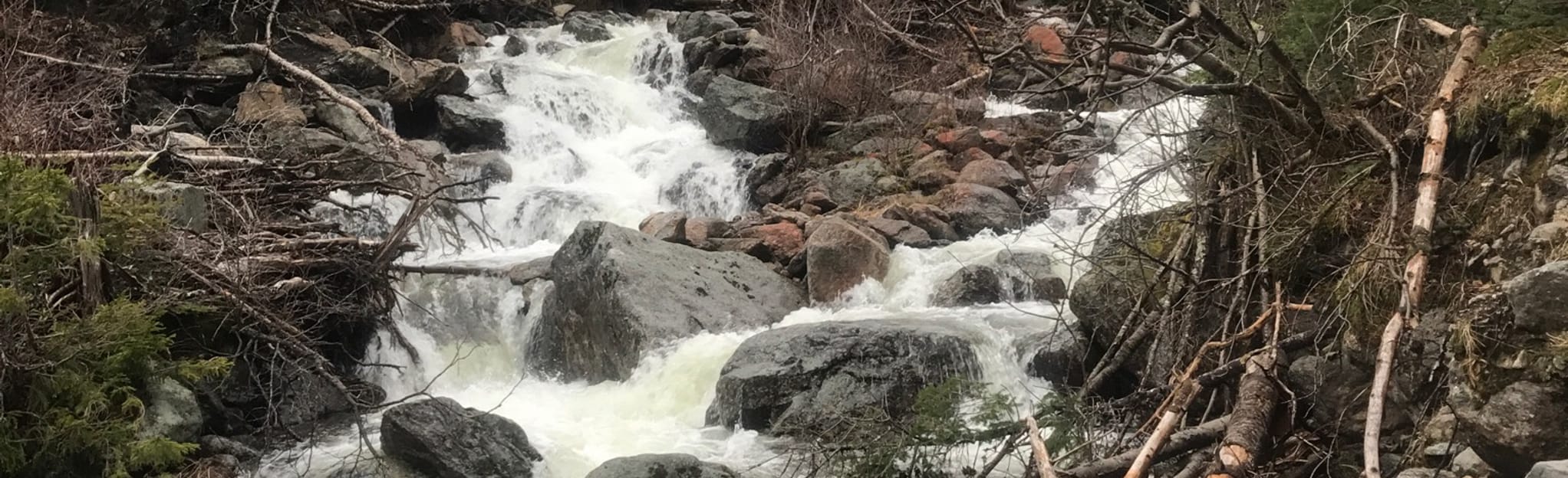 Mount Washington via Ammonoosuc Ravine to Crawford Path: 195 Reviews ...