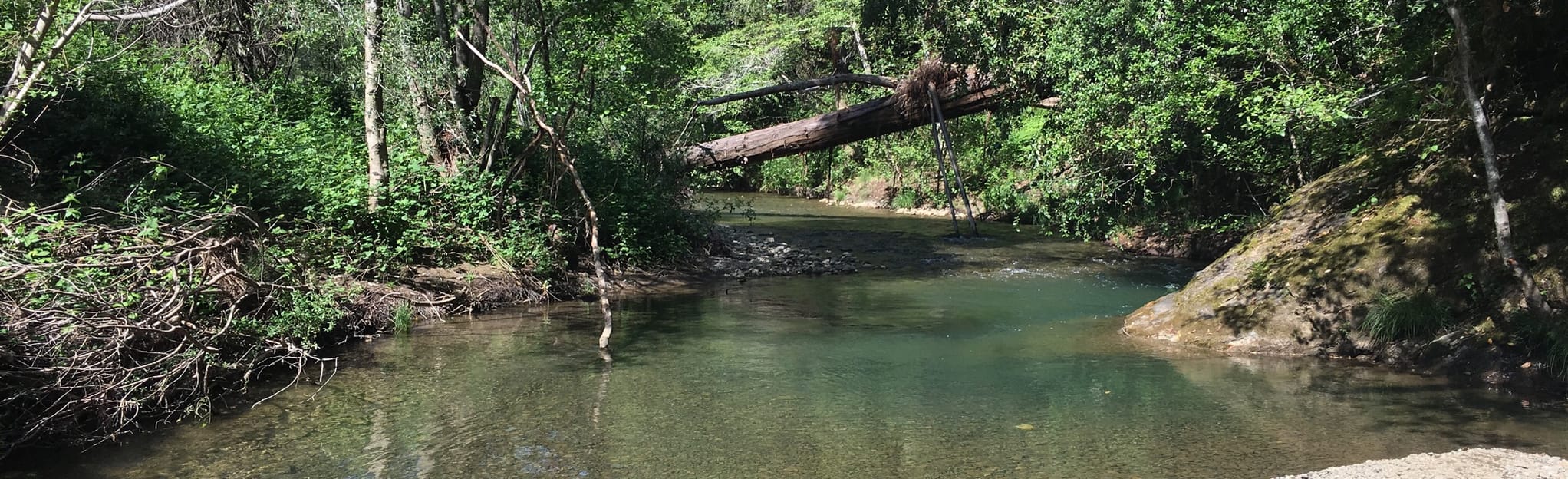 Upper Indian Creek Trail, California - 7 Reviews, Map | AllTrails