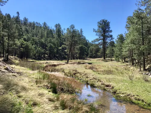 10 Best Trails and Hikes in Pine | AllTrails