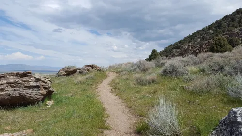 Best Hikes and Trails in Ruby Mountains Wilderness | AllTrails