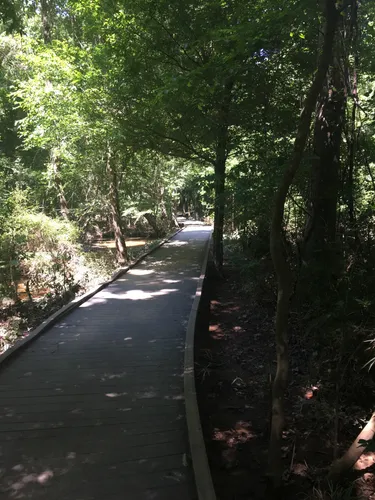 Best Hikes and Trails in Chicot State Park | AllTrails