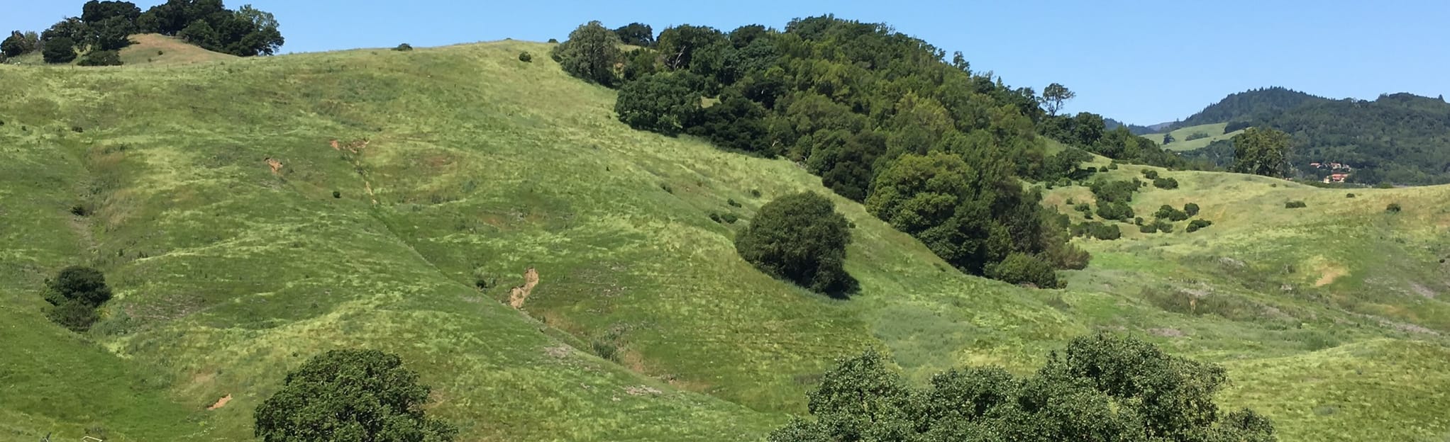 Timberhill Park Trail, California - 196 Reviews, Map | AllTrails