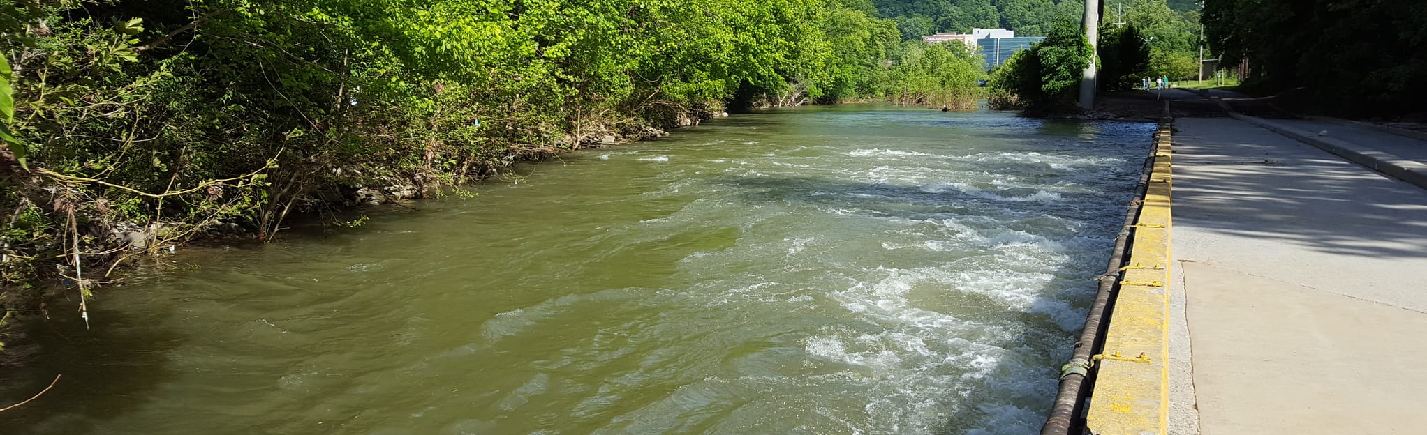 Roanoke River Greenway from Vic Thomas Park, Virginia - 232 Reviews ...