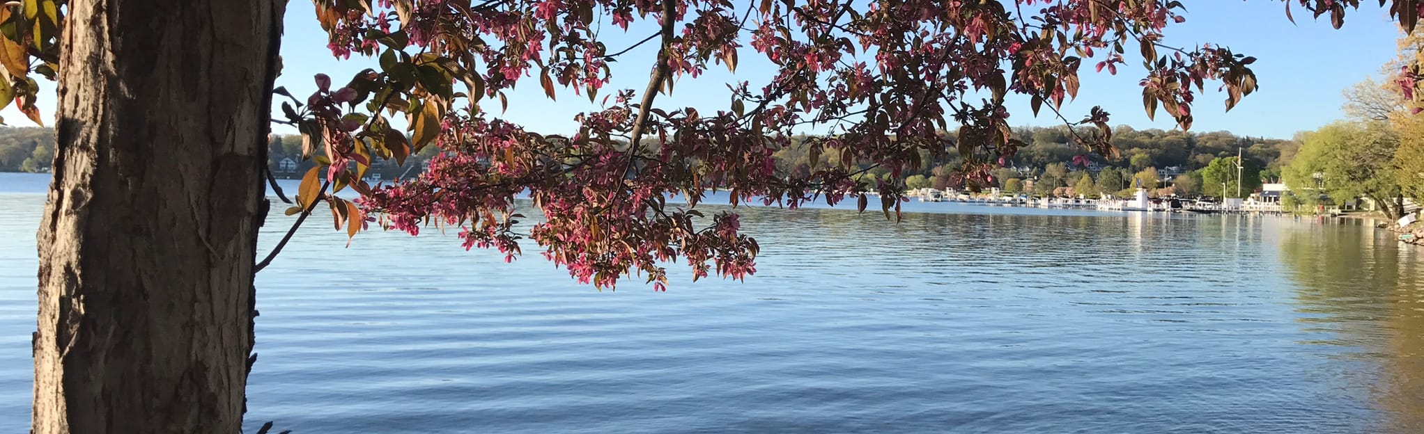 Lake Geneva Shore Path, Wisconsin - 595 Reviews, Map | AllTrails