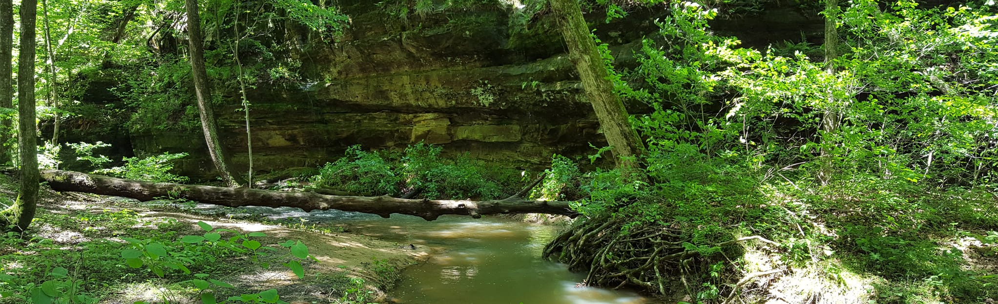 Rim Rock Lower Loop, Illinois - 135 Reviews, Map | AllTrails