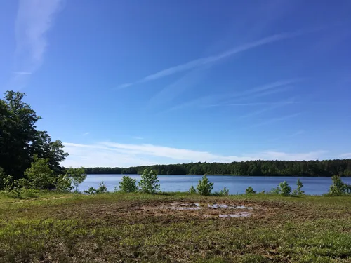 Best Hikes and Trails in Salem State Forest | AllTrails