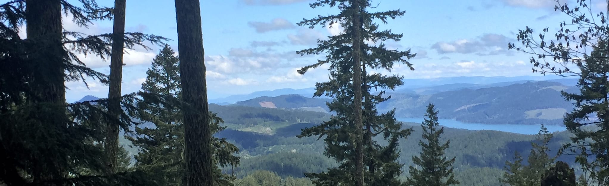 Hardesty Mountain Trail, Oregon - 282 Reviews, Map | AllTrails