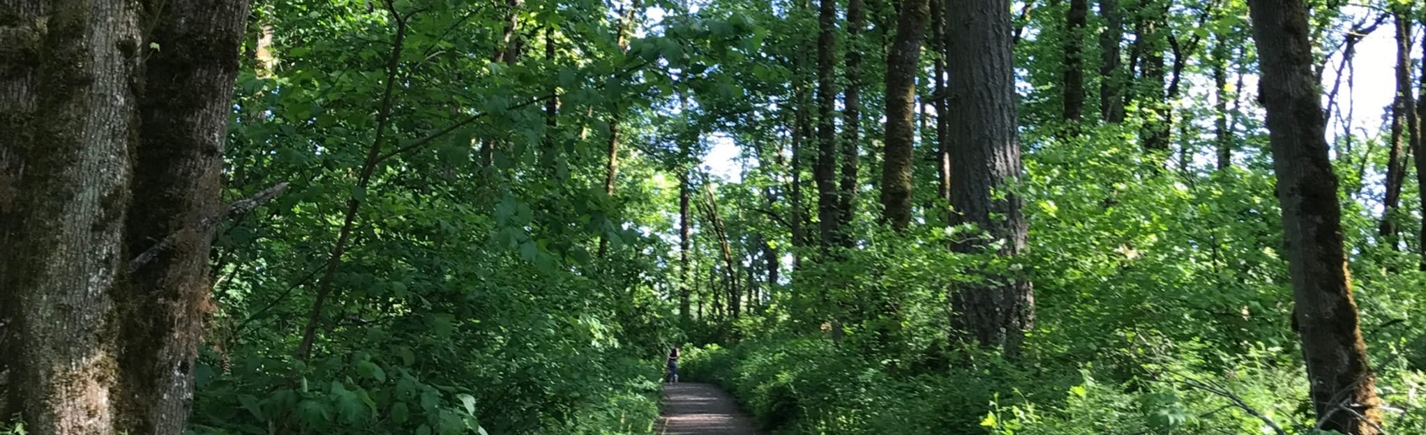 Dorris Ranch Loop Trail: 450 Reviews, Map - Oregon | AllTrails