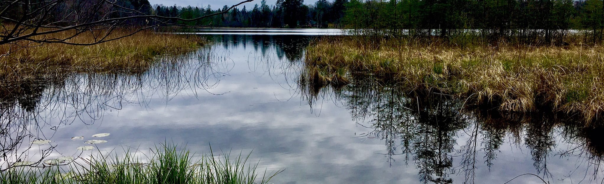 Flowage Trail to Huber Lake, Wisconsin - 38 Reviews, Map | AllTrails