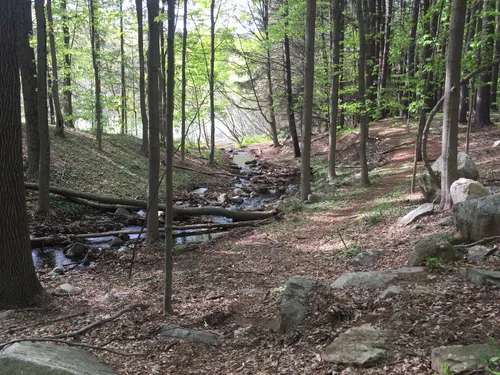 10 Best Hikes and Trails in Naugatuck State Forest | AllTrails
