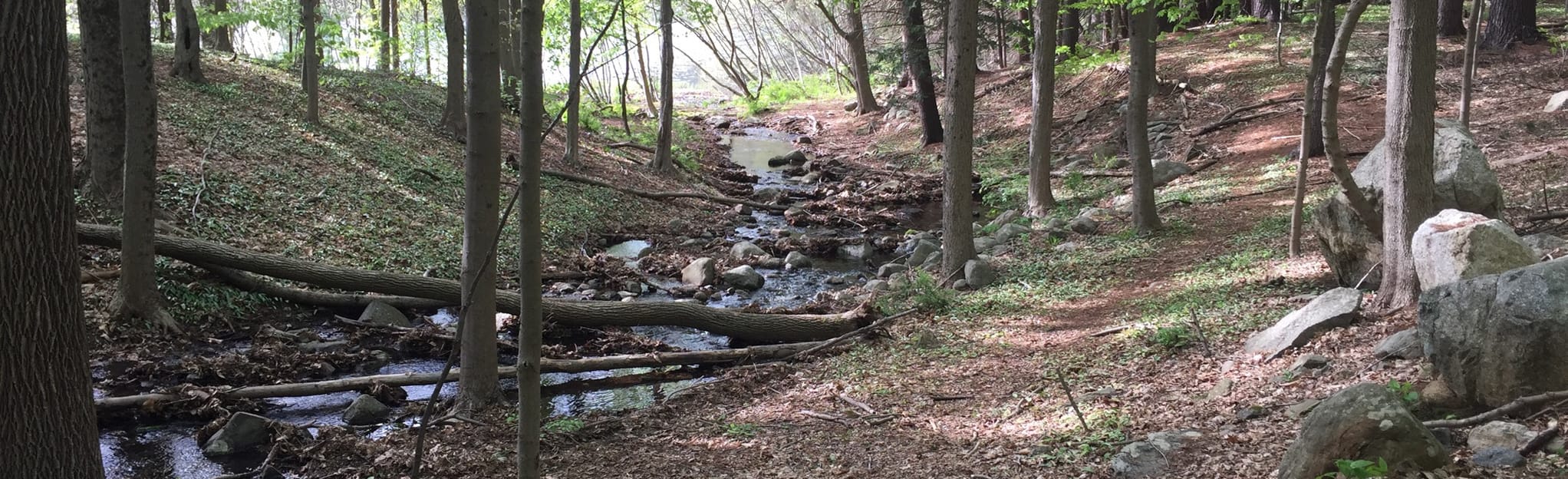 Quillinan Reservoir Purple and Woods Road Loop, Connecticut - 210 ...