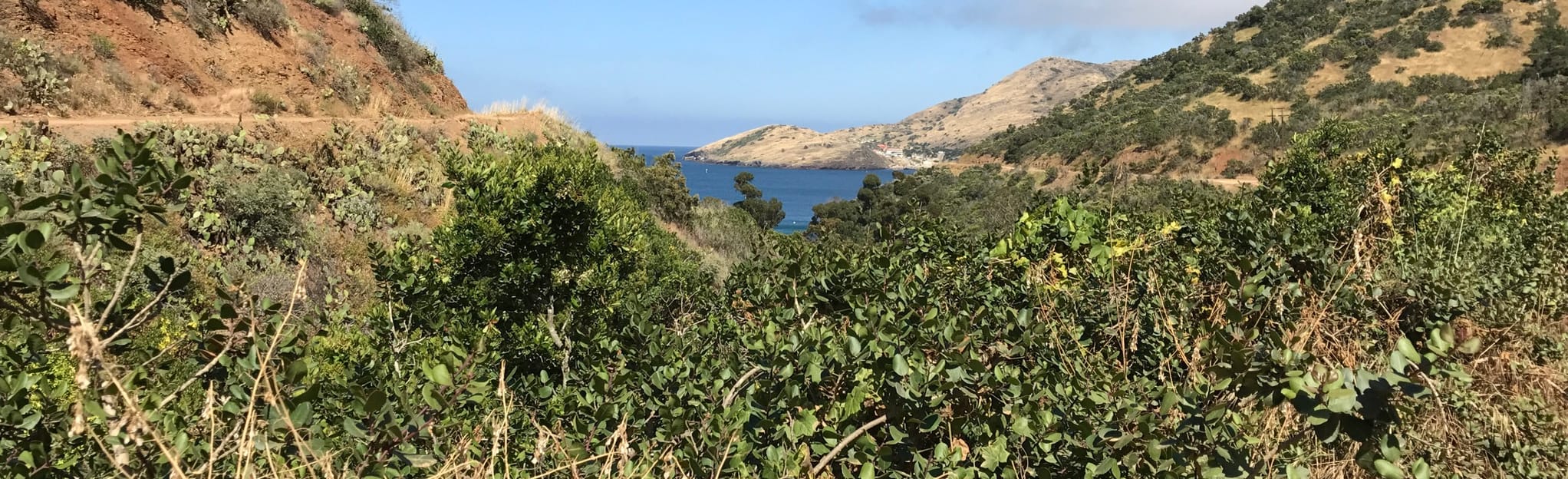 Two Harbors to Parsons Landing via West End Road, California - 715 ...