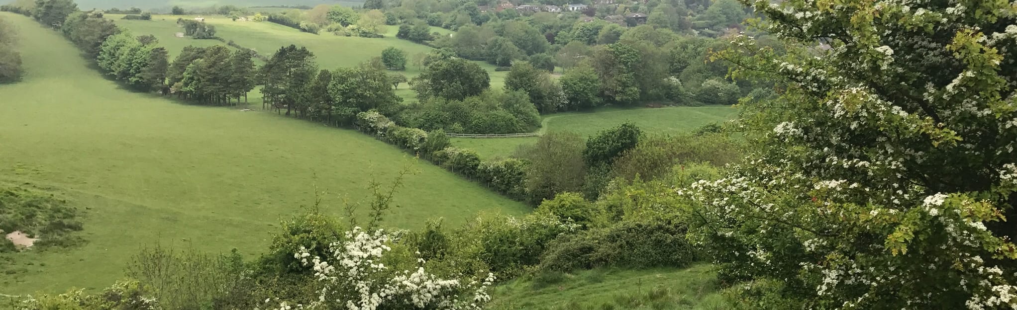 Kingston near Lewes Circular: 48 Reviews, Map - East Sussex, England ...