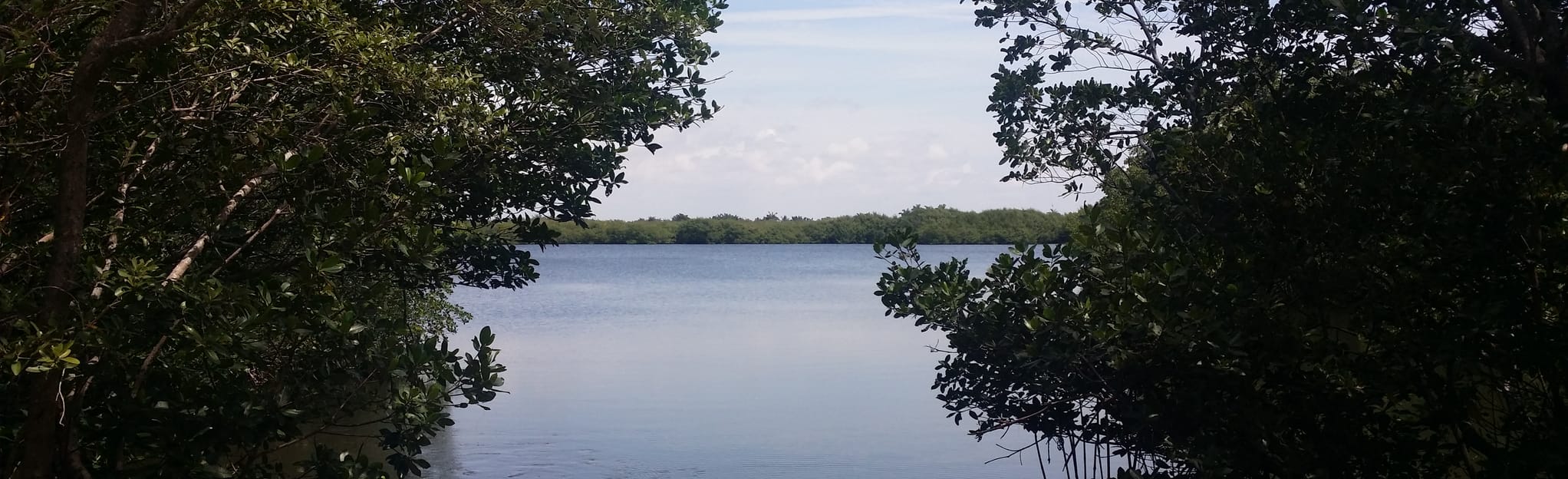 AllTrails | Chapman Field Park Trail: 26 Reviews, Map - Florida