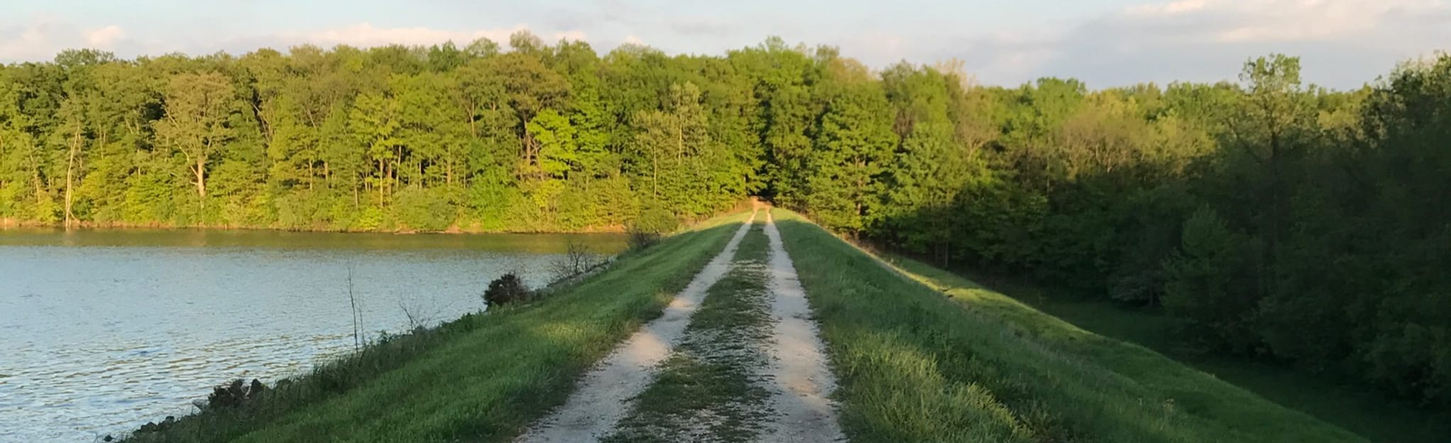 Lake Mingo Loop | Map, Guide - Illinois | AllTrails
