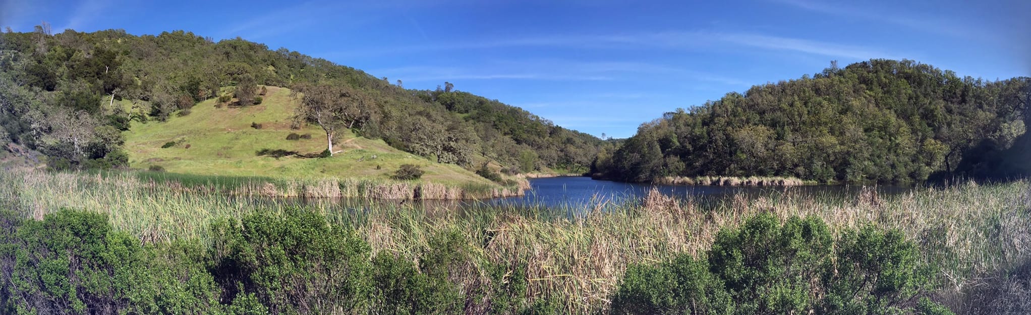 Coit Lake Loop Trail, California - 49 Reviews, Map | AllTrails