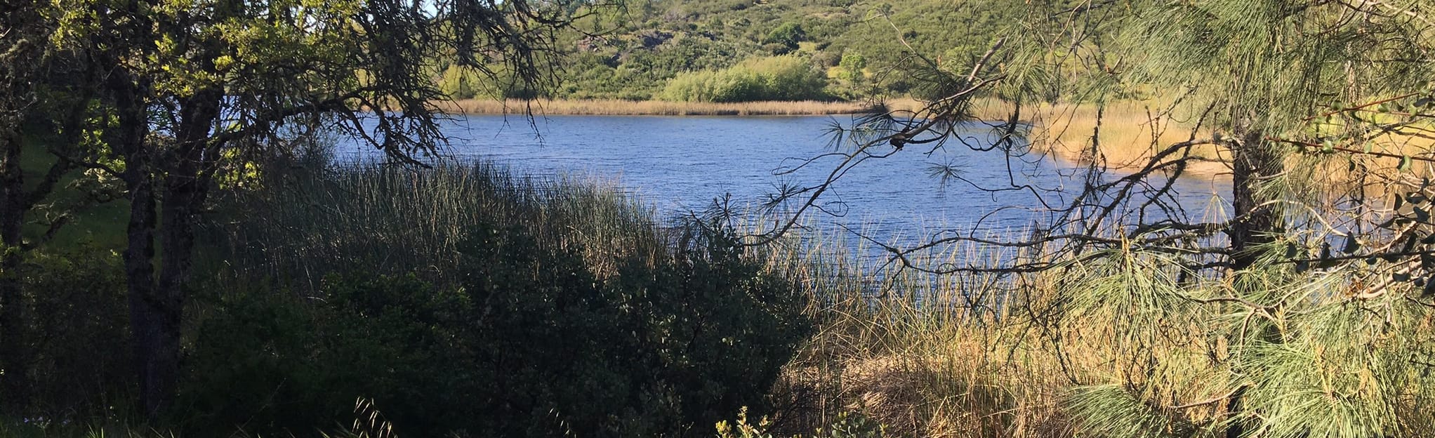 Coit Lake via Coit Road and Gunsight Trail: 0 Reviews, Map - California ...