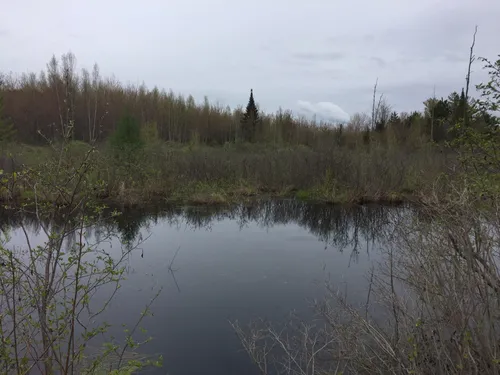 Best Hikes and Trails in Larose Forest | AllTrails