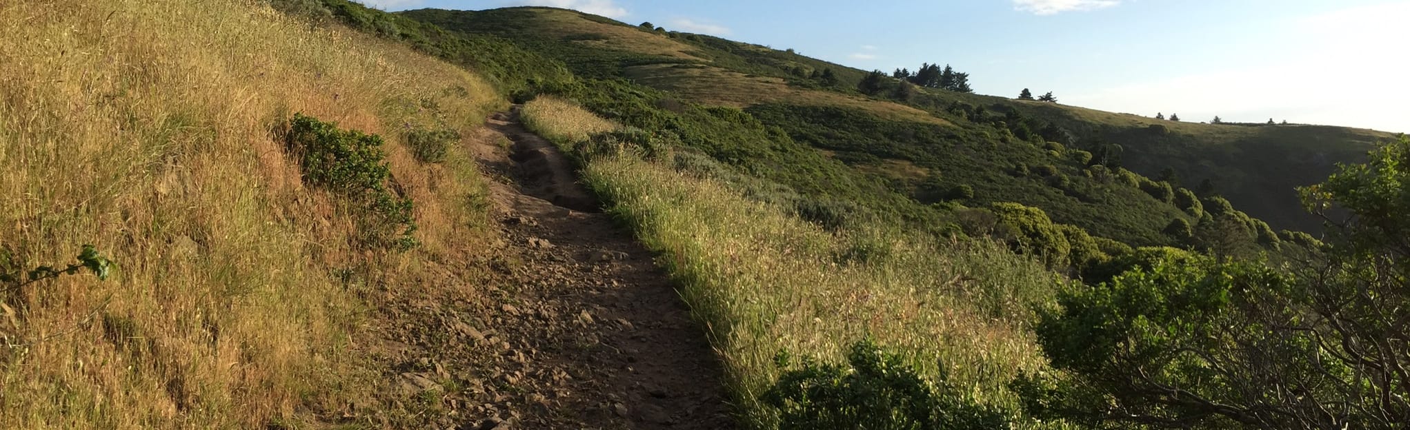 Steep Ravine and Dipsea Loop via Coast View Trail, California - 152 ...