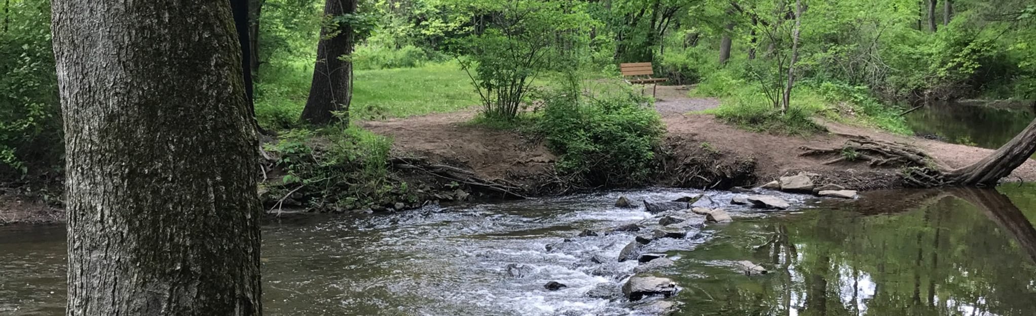 Horseshoe Charcoal Loop Trail, Pennsylvania - 261 Reviews, Map | AllTrails