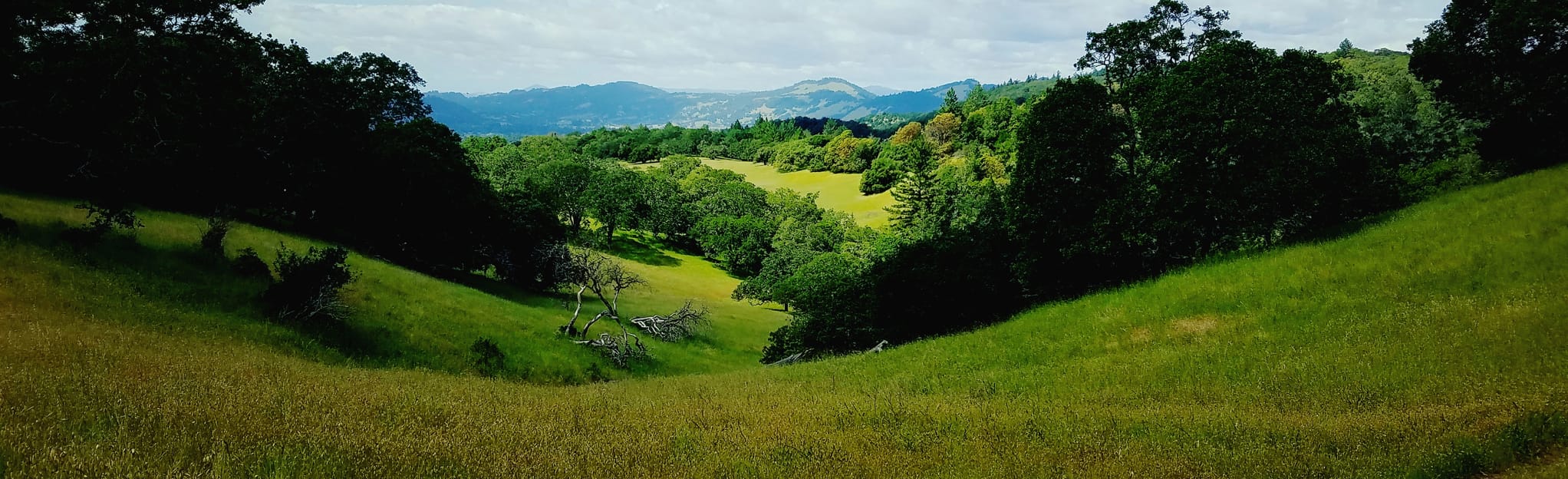 Canyon Trail to Spring Creek Trail Loop, California - 942 Reviews, Map ...