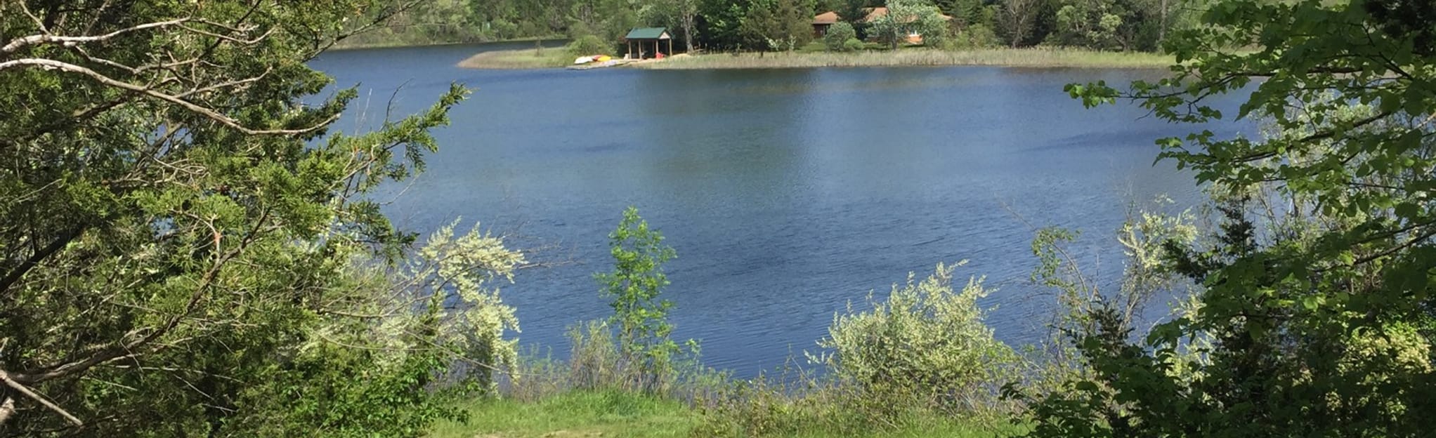 Losee Lake Middle Loop Trail, Michigan - 159 Reviews, Map | AllTrails