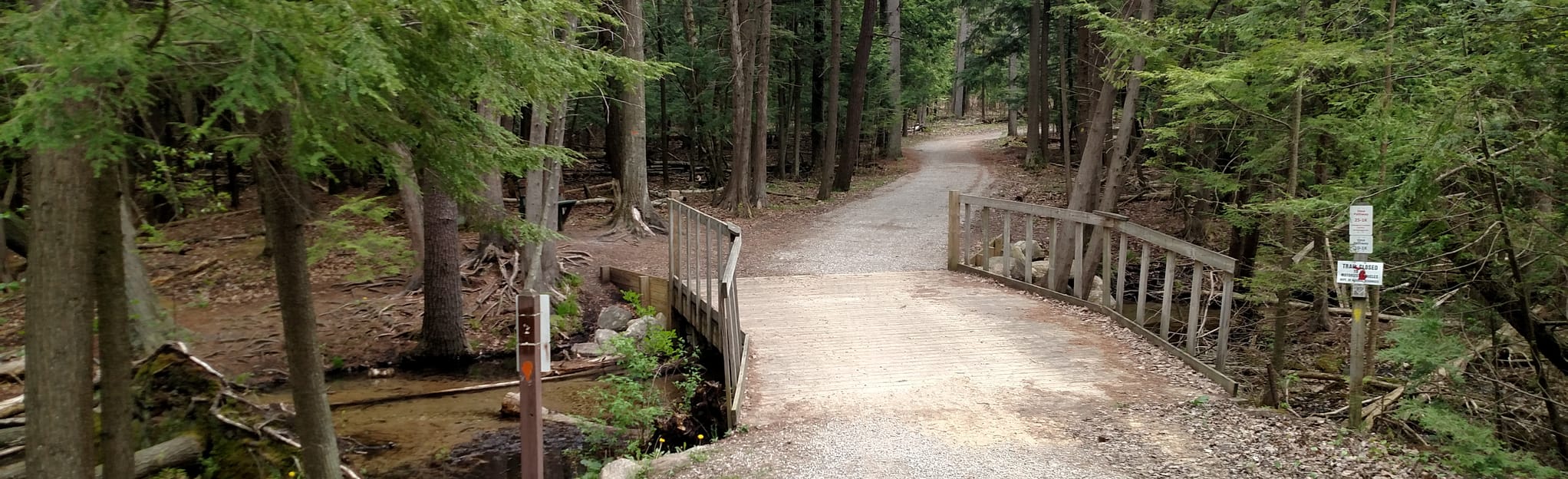 Vasa 5K Headwaters Trail | Map, Guide - Michigan | AllTrails