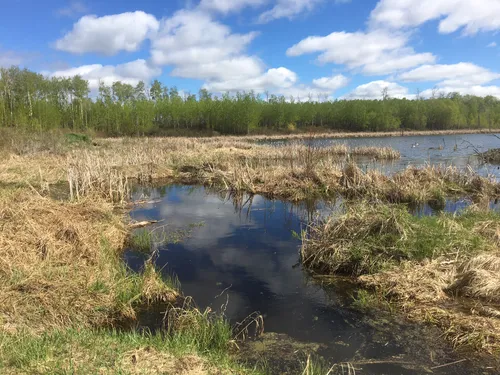 10 Best Cross Country Skiing Trails in Cooking Lake/Blackfoot ...