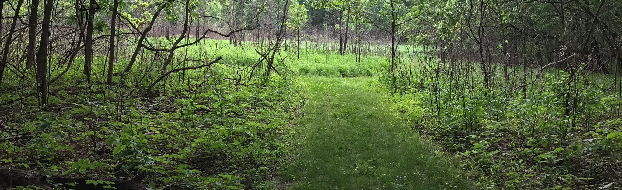 Stemler Cave Woods Interpretive Long Trail: 328 Reviews, Map - Illinois ...