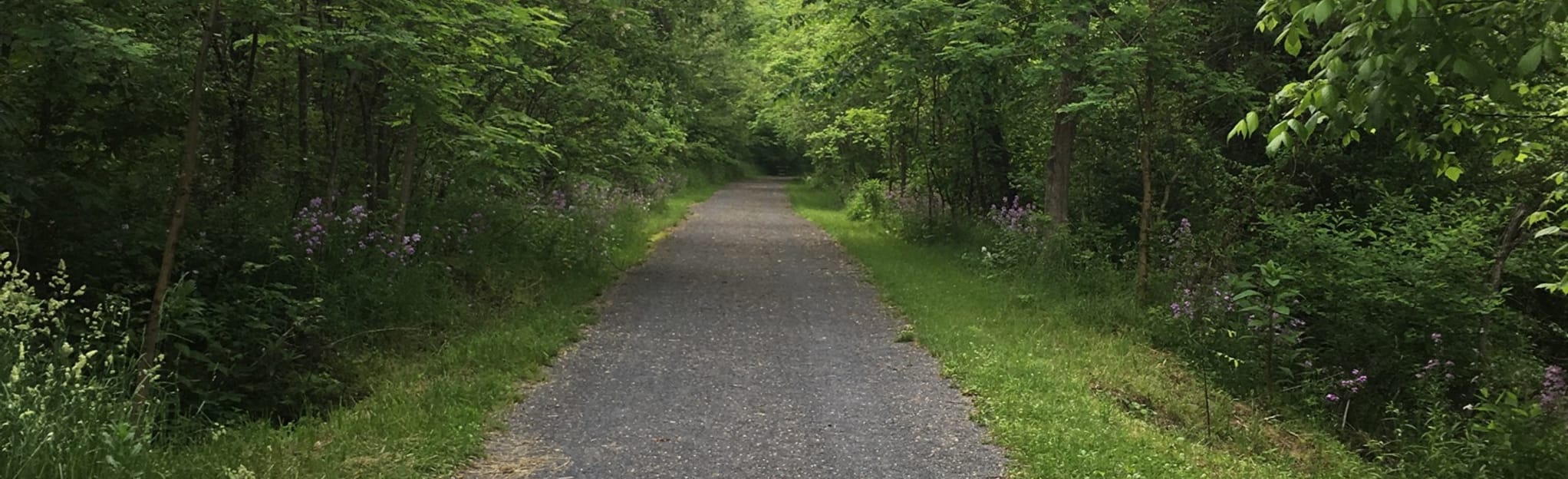 Jackson River Trail, Virginia - 86 Reviews, Map | AllTrails
