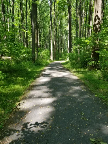 10 Best Trails and Hikes in Silver Spring | AllTrails