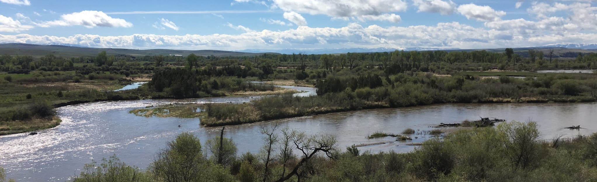 Fort Rock Trail Loop: 85 Reviews, Map - Montana | AllTrails
