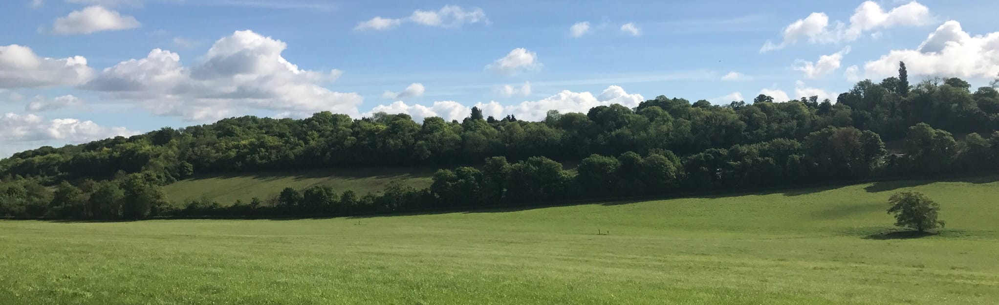 Cudham Circular Walk: 152 Fotos - Kent, England | AllTrails