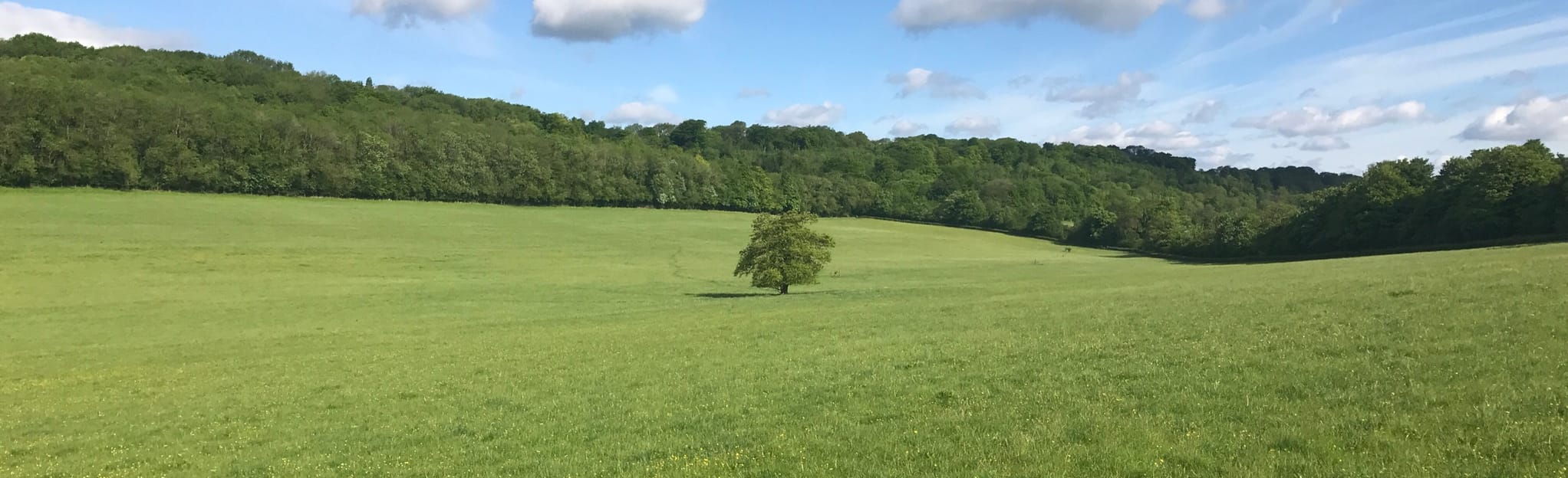 Hazelwood Circular, London, England - 82 Reviews, Map | AllTrails