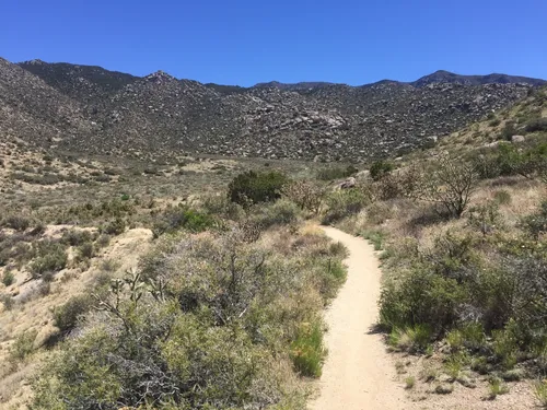 2023 Best 10 Long Trails in Sandia Foothills Open Space Park | AllTrails