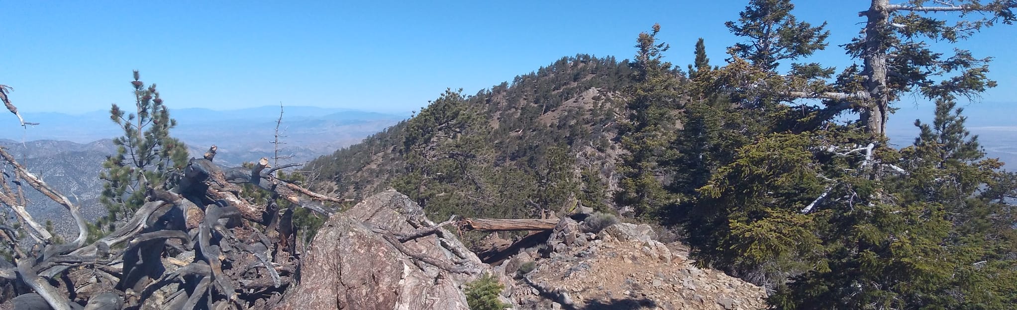 Pallett via Burkhart Trail and Pleasant View Ridge: 67 Reviews, Map ...