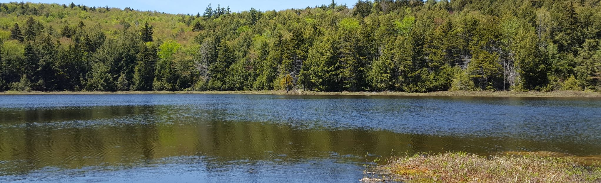 Buck Mountain to Black Mountain, New York - 13 Reviews, Map | AllTrails