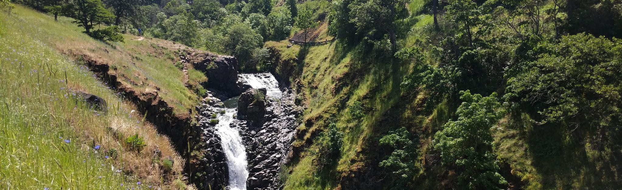 Mosier Plateau Trail: 1,229 Reviews, Map - Oregon | AllTrails