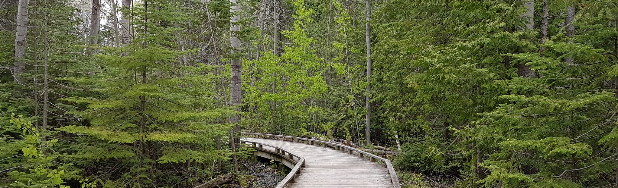 Hockley Trail Loop: 165 Reviews, Map - Ontario, Canada | AllTrails