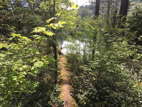 10 Best Trails and Hikes in Black Diamond | AllTrails