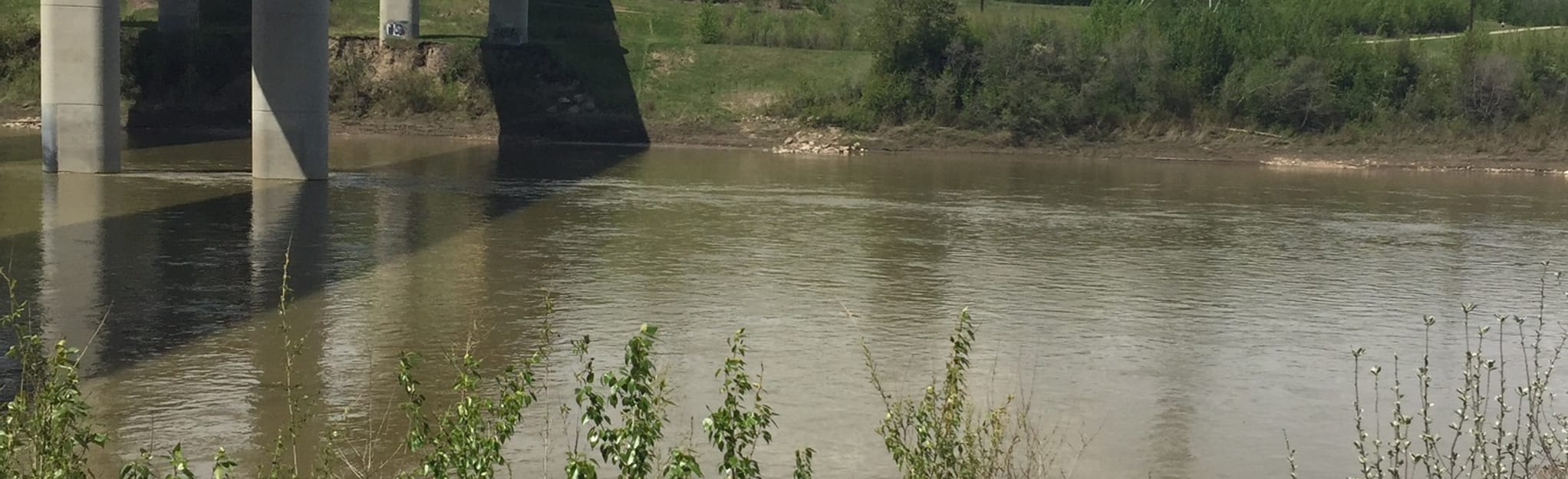 Riverbend Bridge Walk, Alberta, Canada - 291 Reviews, Map | AllTrails