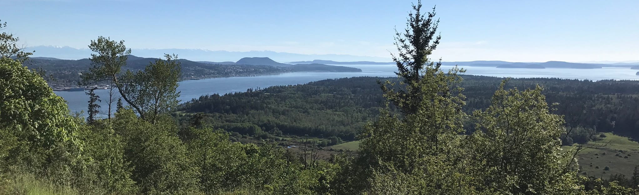 Guemes Mountain: 221 Reviews, Map - Washington | AllTrails