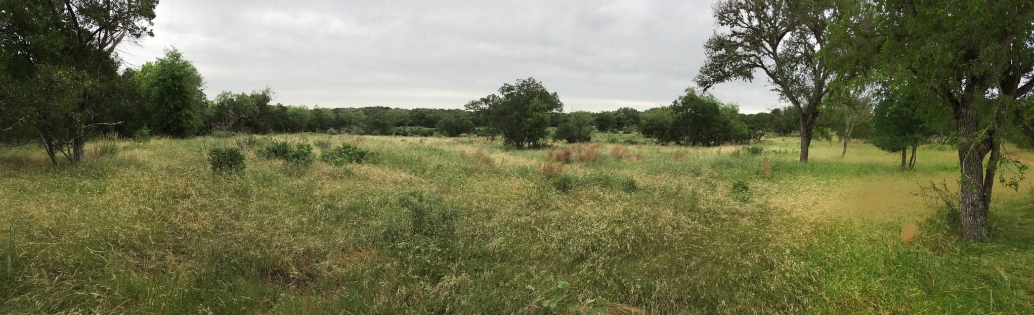 Oak Loop Trail | Map, Guide - Texas | AllTrails