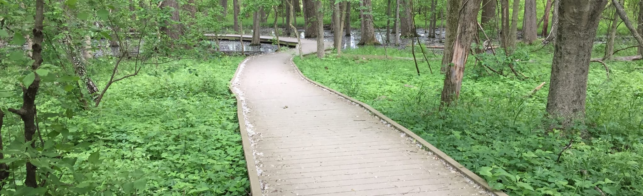 Ritchey Woods Nature Preserve , Indiana - 629 Reviews, Map | AllTrails